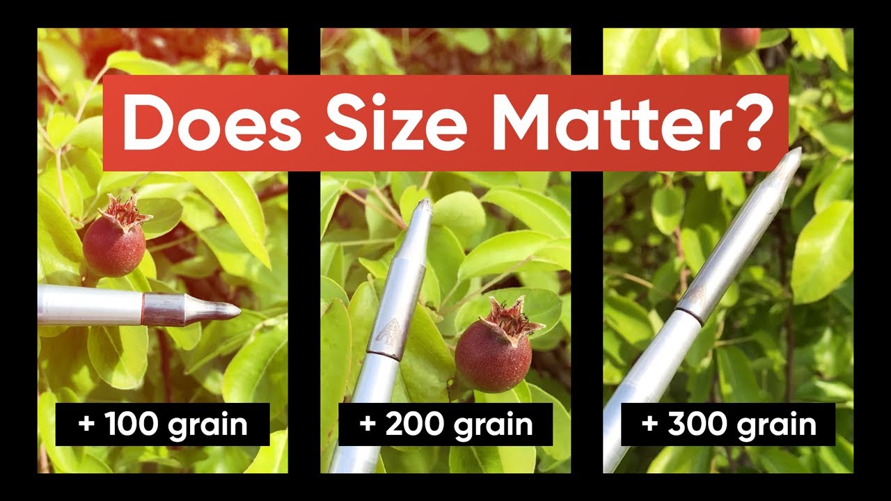 Dynamic Arrow Spine Test with Thumb Release: Korean Bow & Bamboo Arrow ...