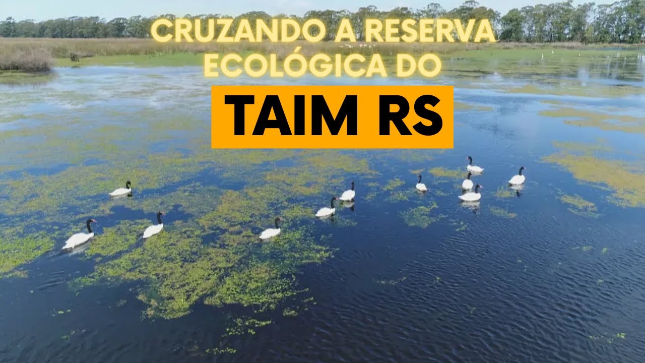 29 Cruzando a reserva do Taim no RS - YouTube