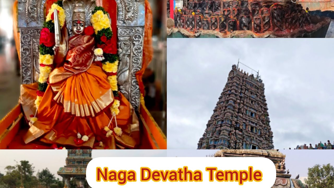 Naga Devatha Temple complete temple Details in Telugu#nagadevatha# ...