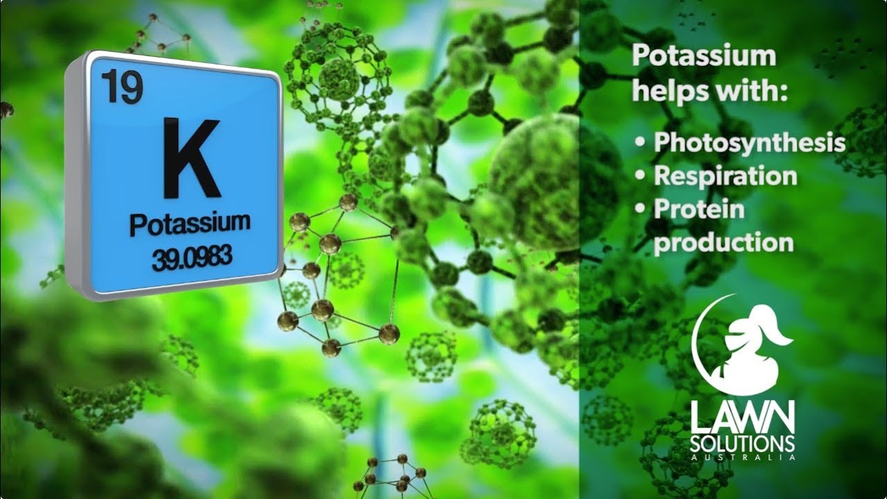 Potassium Power - YouTube