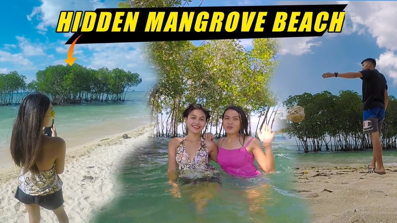 HIDDEN MANGROVE BEACH - DUMANJUG BEACH CEBU #Philippines - YouTube