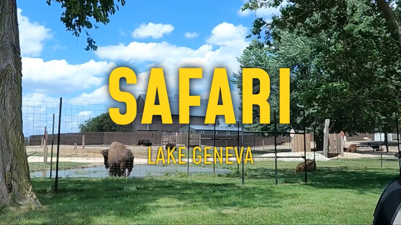 SAFARI LAKE GENEVA DRIVE-THRU 2024 #SAFARI #ZOO - YouTube