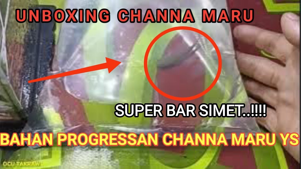 UNBOXING CHANNA MARU - Baby Maru YS Bahan Progresan - YouTube