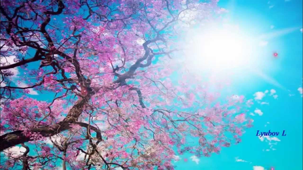 Elias Rahbani-You're my love - YouTube