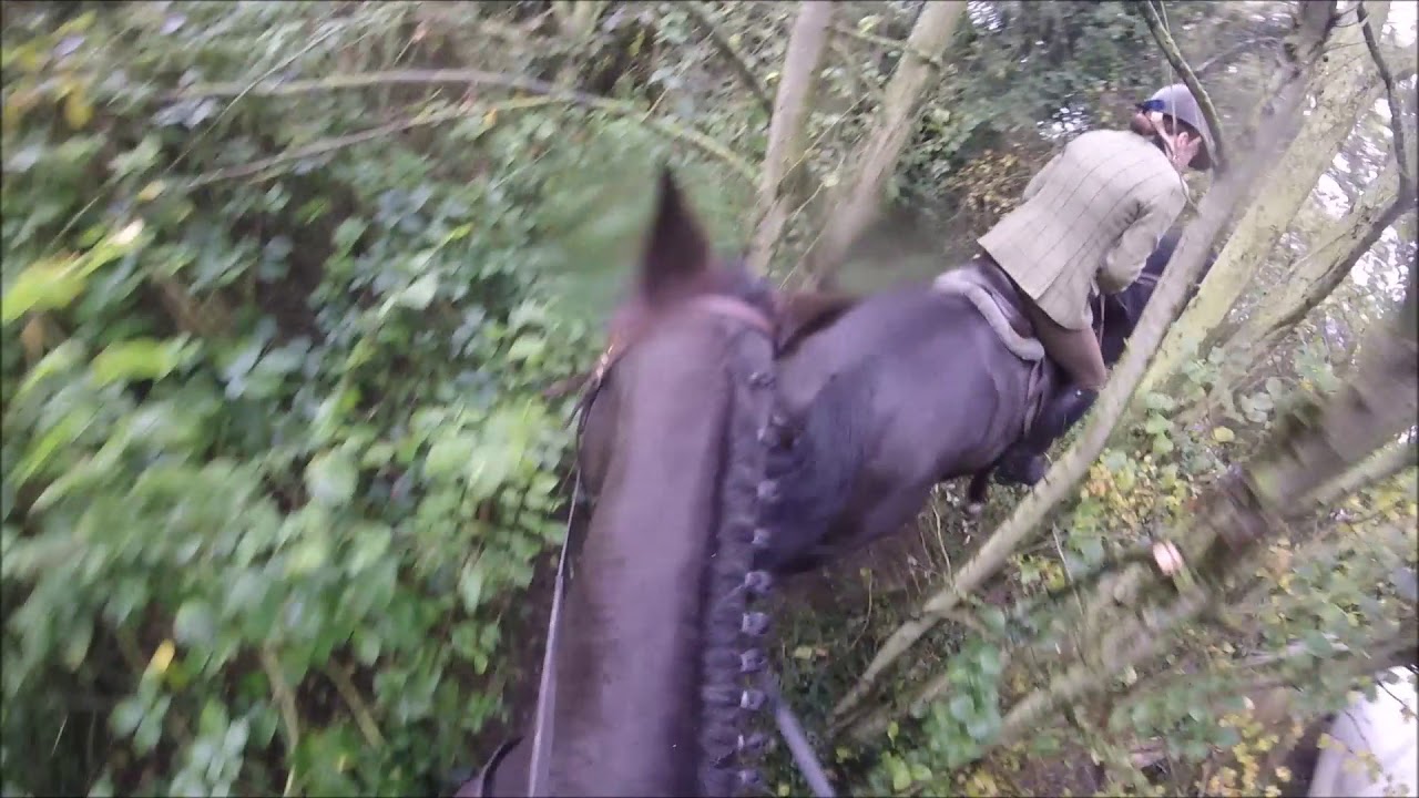 Atherstone Hunt Meet (GoPro HeadCam) - YouTube