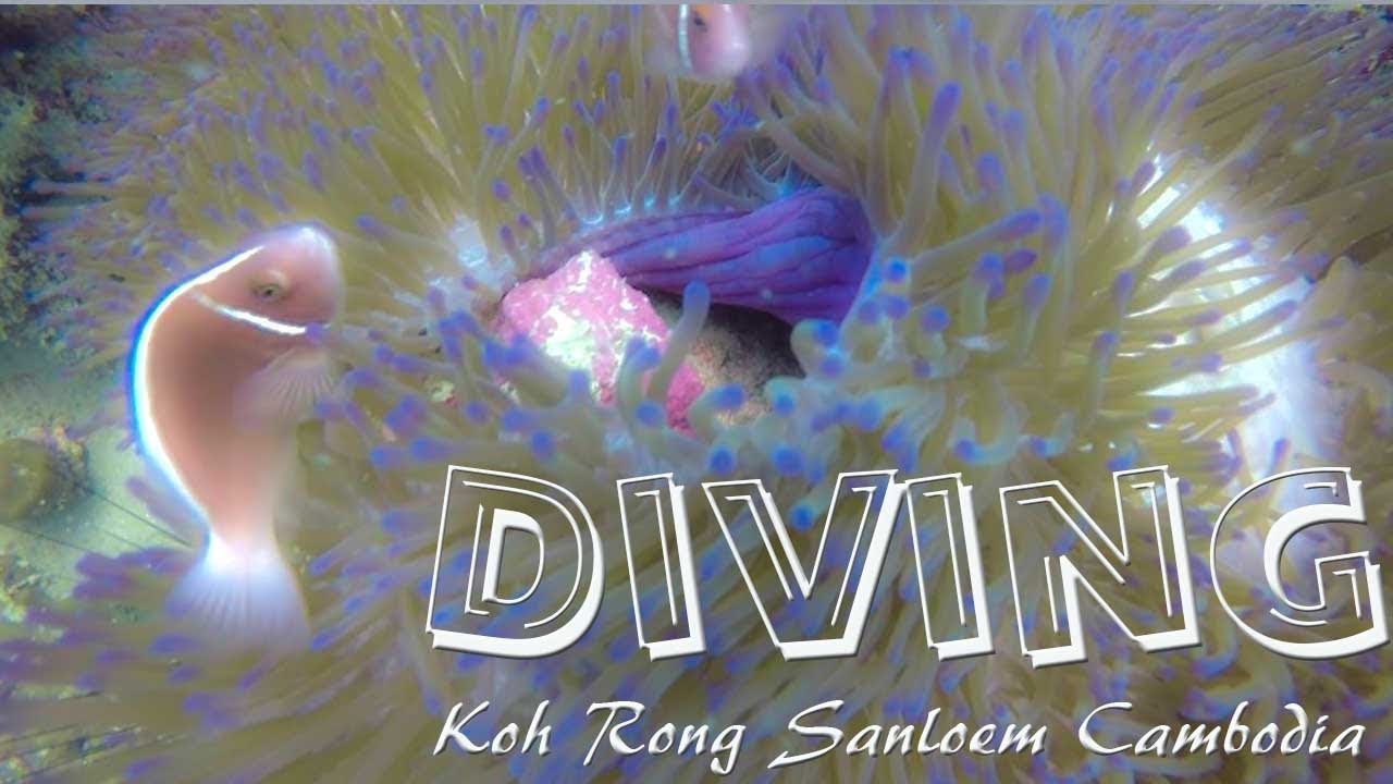 Diving Koh Rong Sanloem in Cambodia! - YouTube