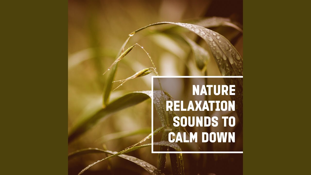 Soft Natural Sounds - YouTube