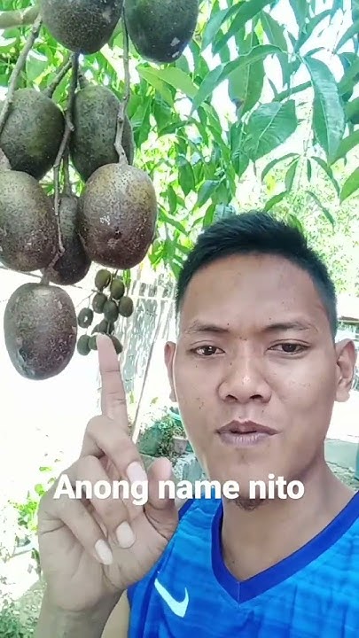 Anong pangalan ng prutas - YouTube