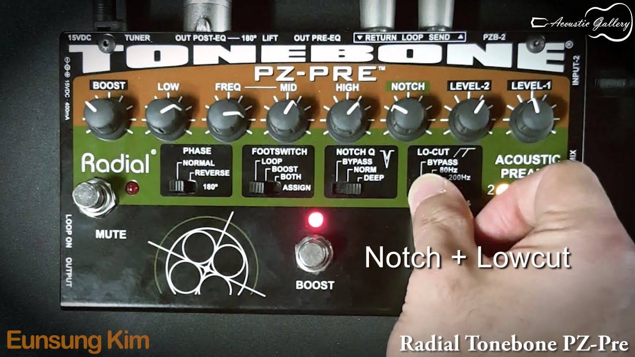 Radial PZ Pre Tonebone Funtional Test - YouTube