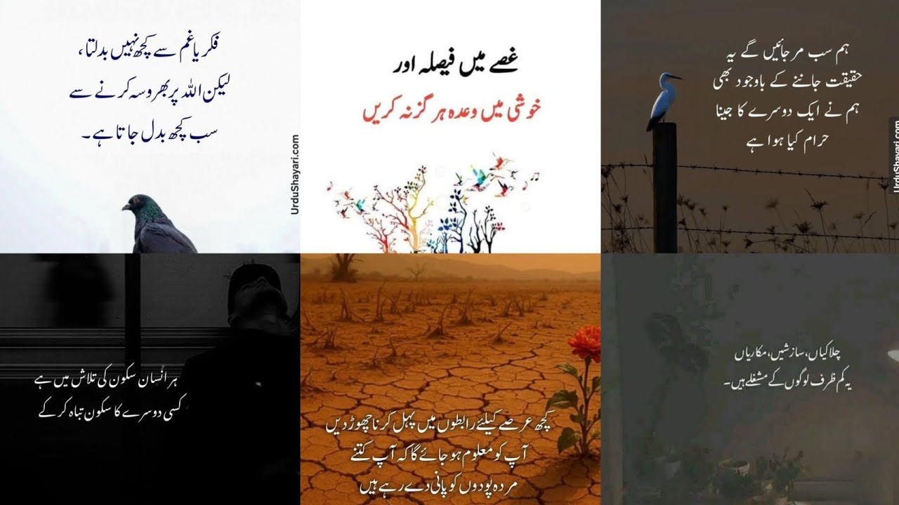 Sabar Urdu Quotes |Islamic Quotes |Urdu shayari |Islamic Urdu Quotes ...