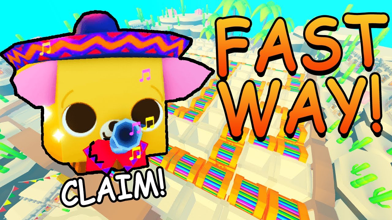 HOW TO DO A FIESTA MAZE AND GET NEW HUGE SOMBRERO CHIHUAHUA FOR FREE IN ...