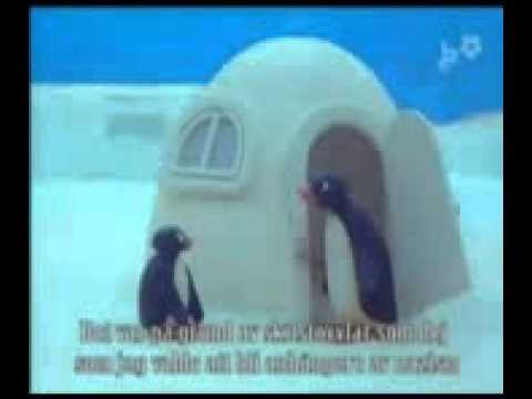 Pingu in the house - YouTube