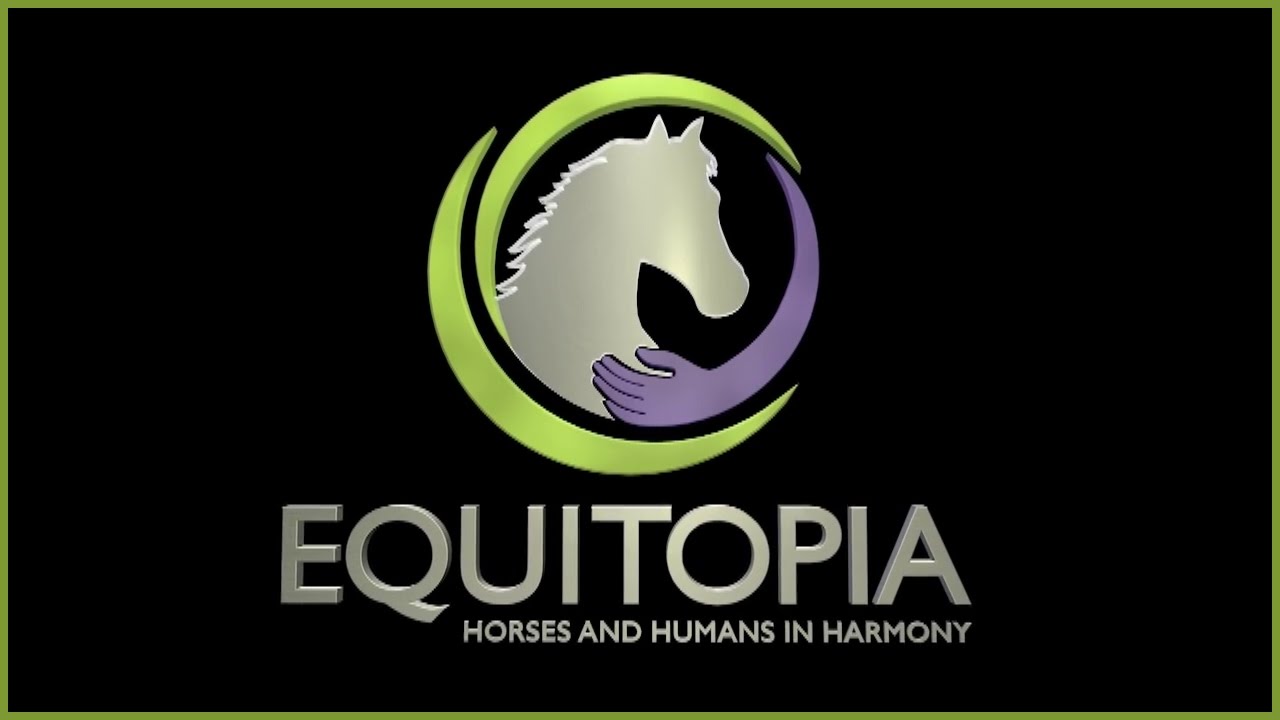Top 6 Signs Your Saddle is Hurting Your Horse - by Equitopia ...