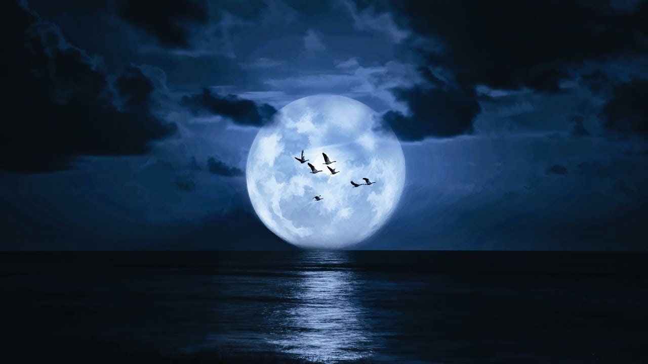 Moon over sea at night HD | Non copyright | Free - YouTube
