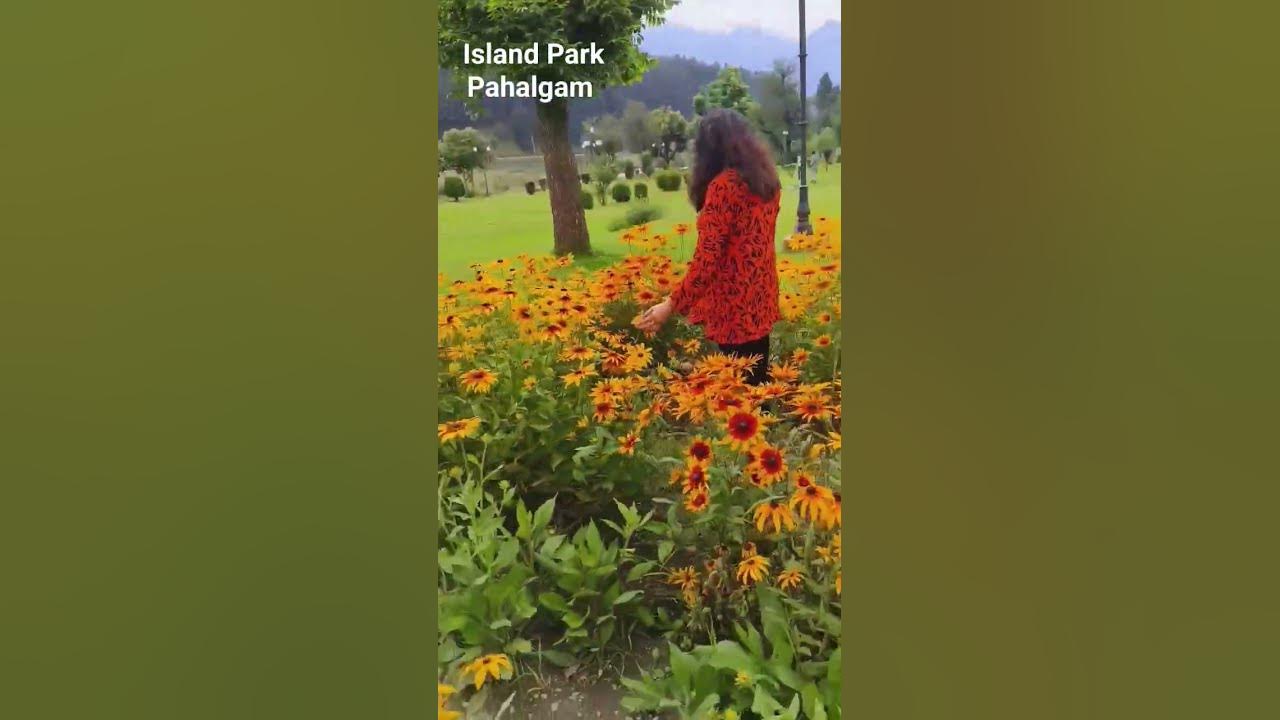 Island Park Pahalgam #amarnathyatra #youtubeshorts #pahalgam - YouTube