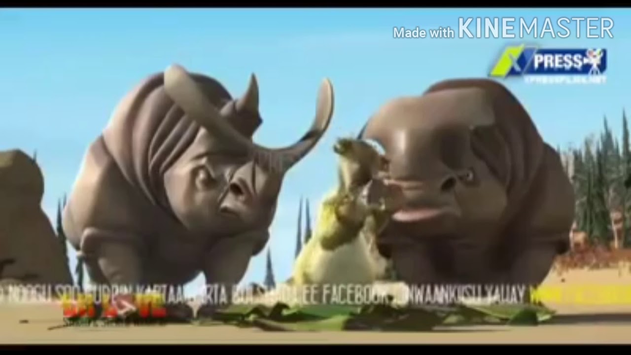 Corton ila qosol turjumayaasha N.vaazuu. x.qanciye.hanad yare - YouTube