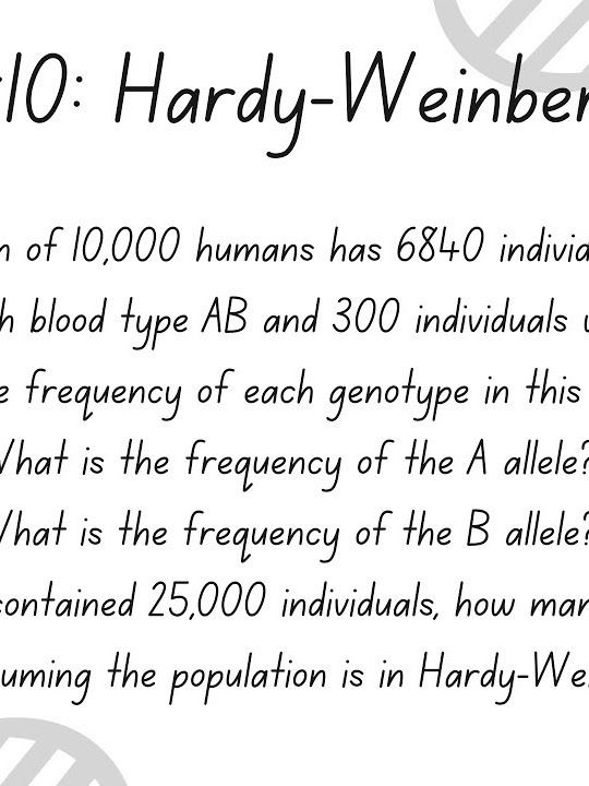 AP Bio Math Minute: Hardy-Weinberg (Blood Types) - YouTube