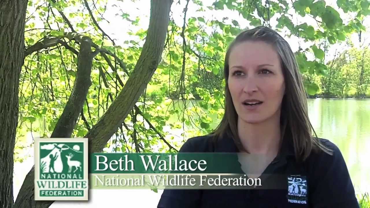 Passion to Action: The Beth Wallace Story - YouTube