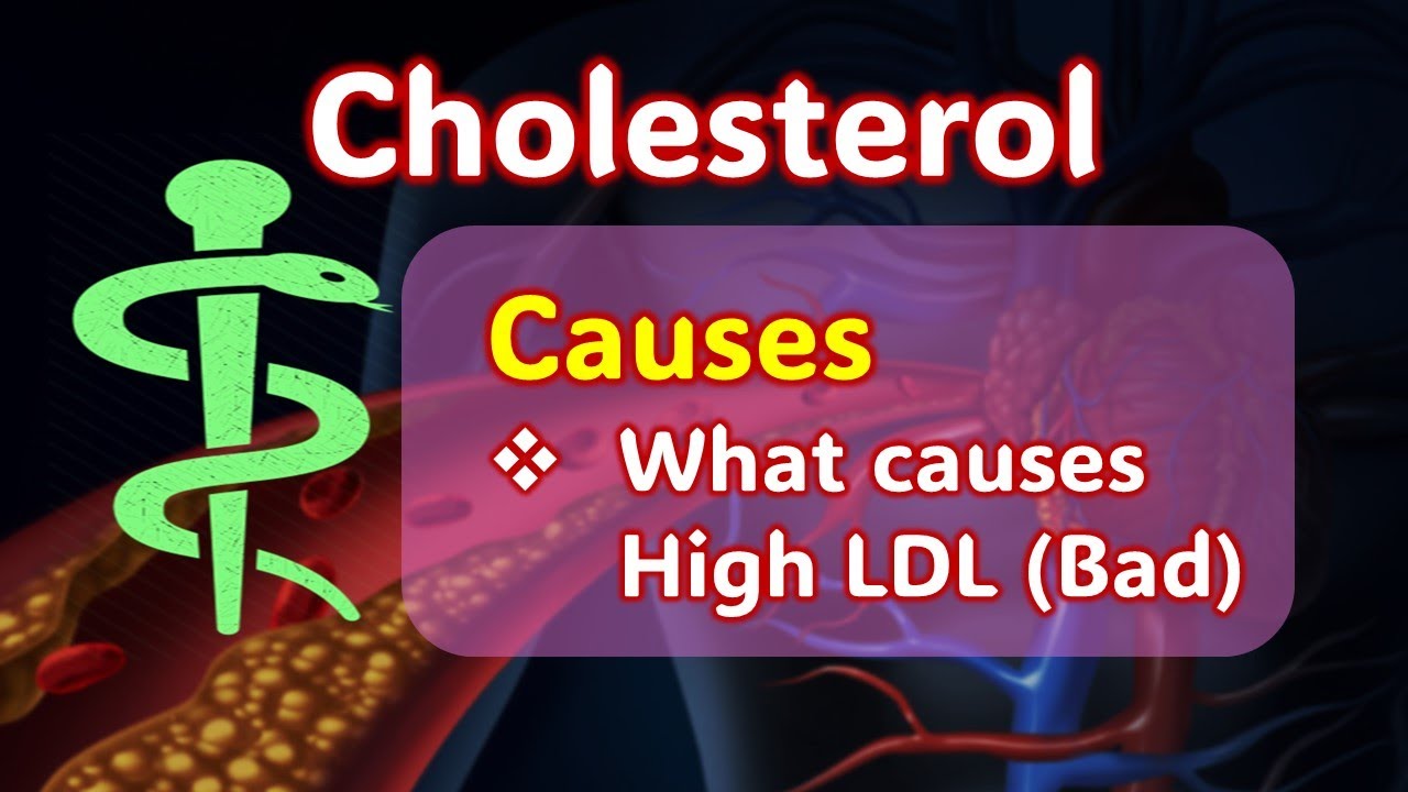 Cholesterol | Causes of LDL (Bad) | What causes High LDL - YouTube