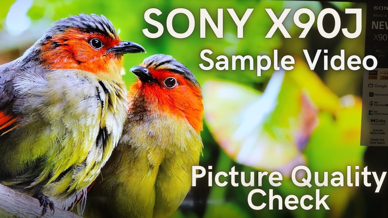 Sony XR X90J Picture Quality Check Sample Video | Best Full Array TV ...