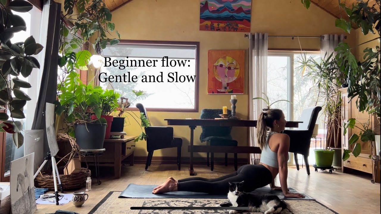 Beginner flow: gentle and slow - YouTube