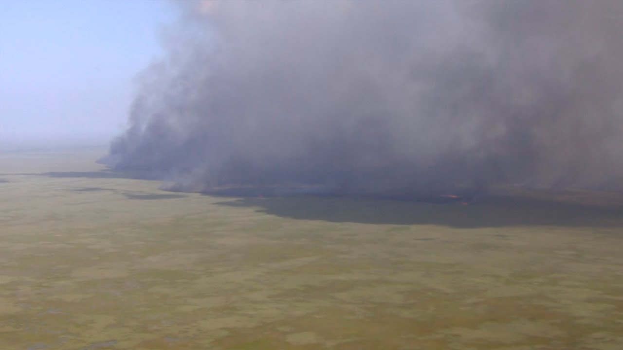 Large Everglades brush fire burns in west Broward County - YouTube