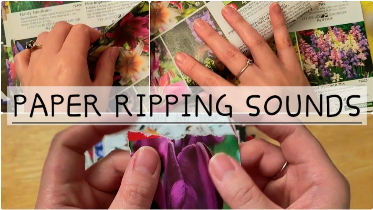 as requested! PAPER RIPPING SOUNDS | no talking ASMR - YouTube
