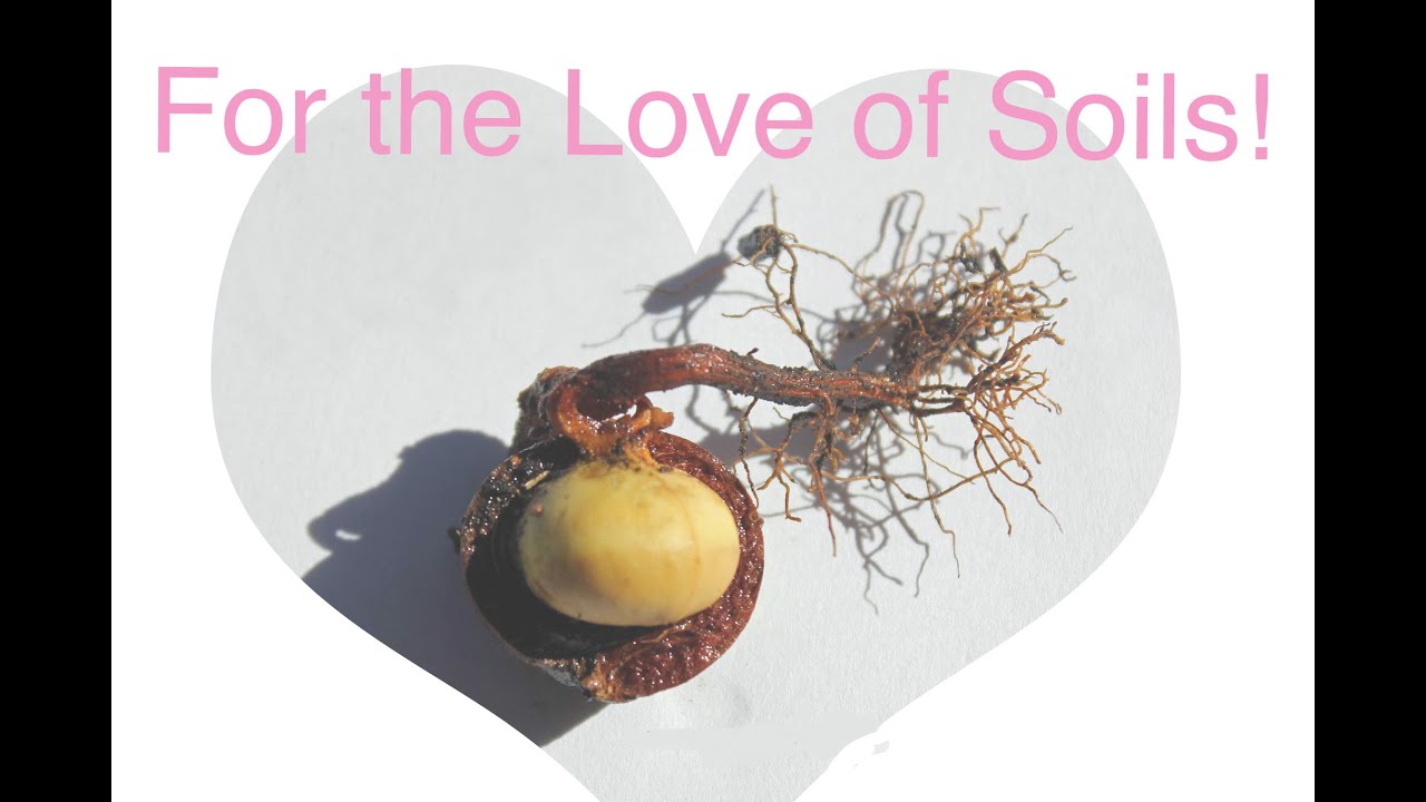 For the Love of Soils - YouTube