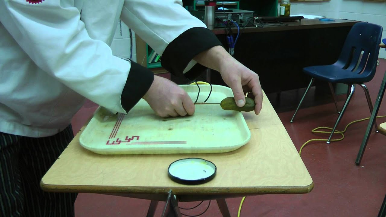 120 Volt Electric Pickle Light Bulbe - YouTube