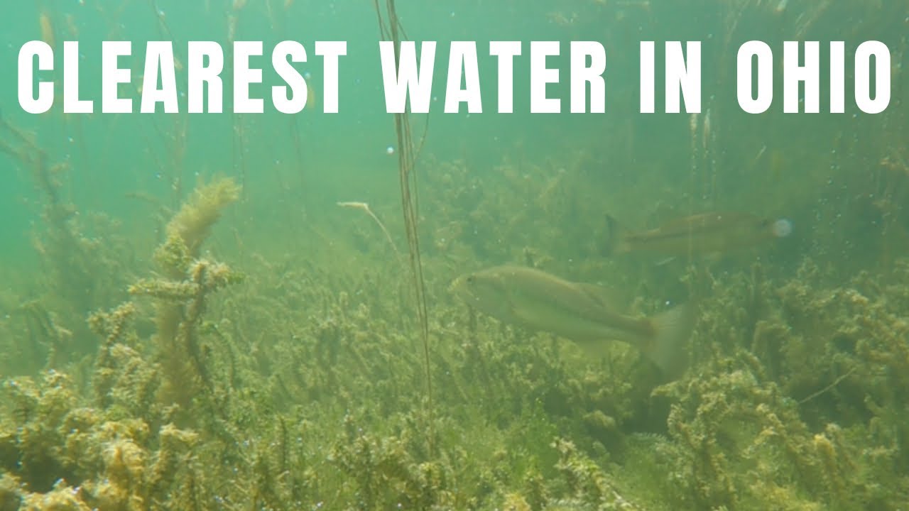Kayaking Indigo Lake in the Cuyahoga Valley National Park, Ohio - YouTube
