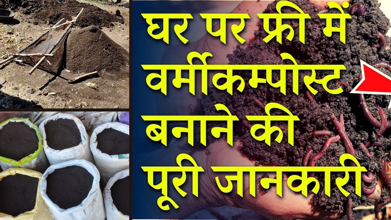 वर्मी कंपोस्ट बनाने की संपूर्ण जानकारी || zero investment varmi compost ...