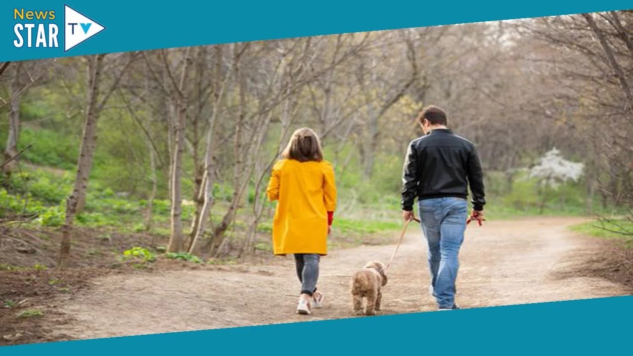 Michael Mosley's 'overlooked' exercise that helps you shed weight and ...