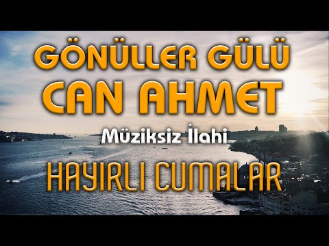 GÖNÜLLER GÜLÜ CAN AHMED 🌼 🌼Müziksiz Yeni İlahi 🌼 🌼Mehmet Yiğit 🌼 🌼 HAYIRLI CUMALAR