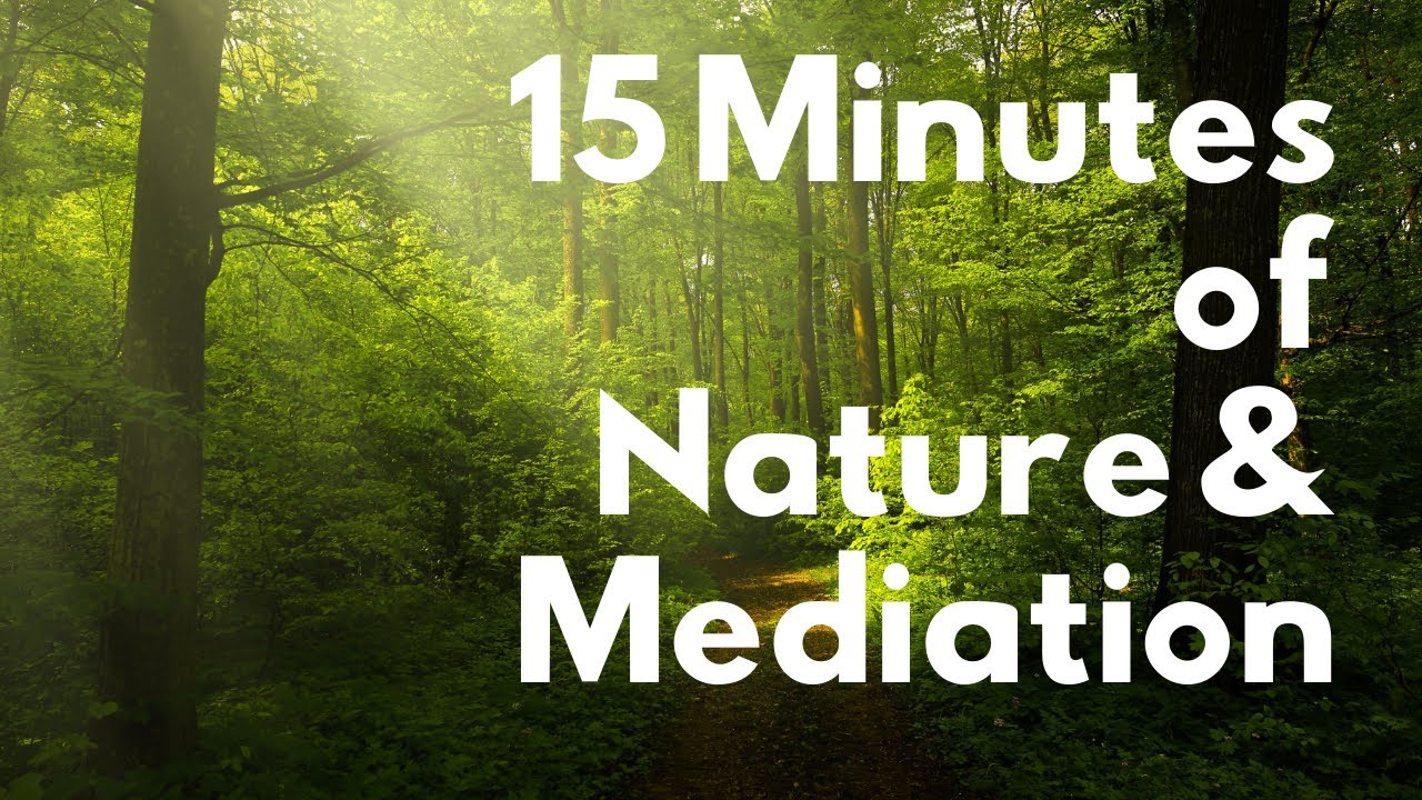 15 Minutes of Mediation: Nature Videos - YouTube