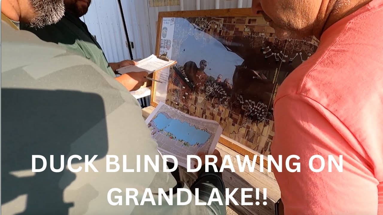 DUCK SERIES - EPISODE 1 SEASON 2 (THE BLIND DRAWING) - YouTube
