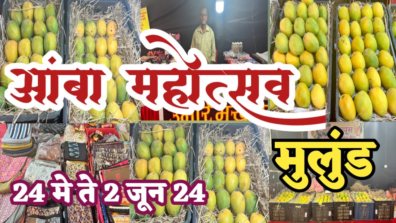 मुलुंड ईस्ट दोडे विधायल मध्ये सुरु आहे वर्षातला शेवटचा आंबा मोहत्सव ...