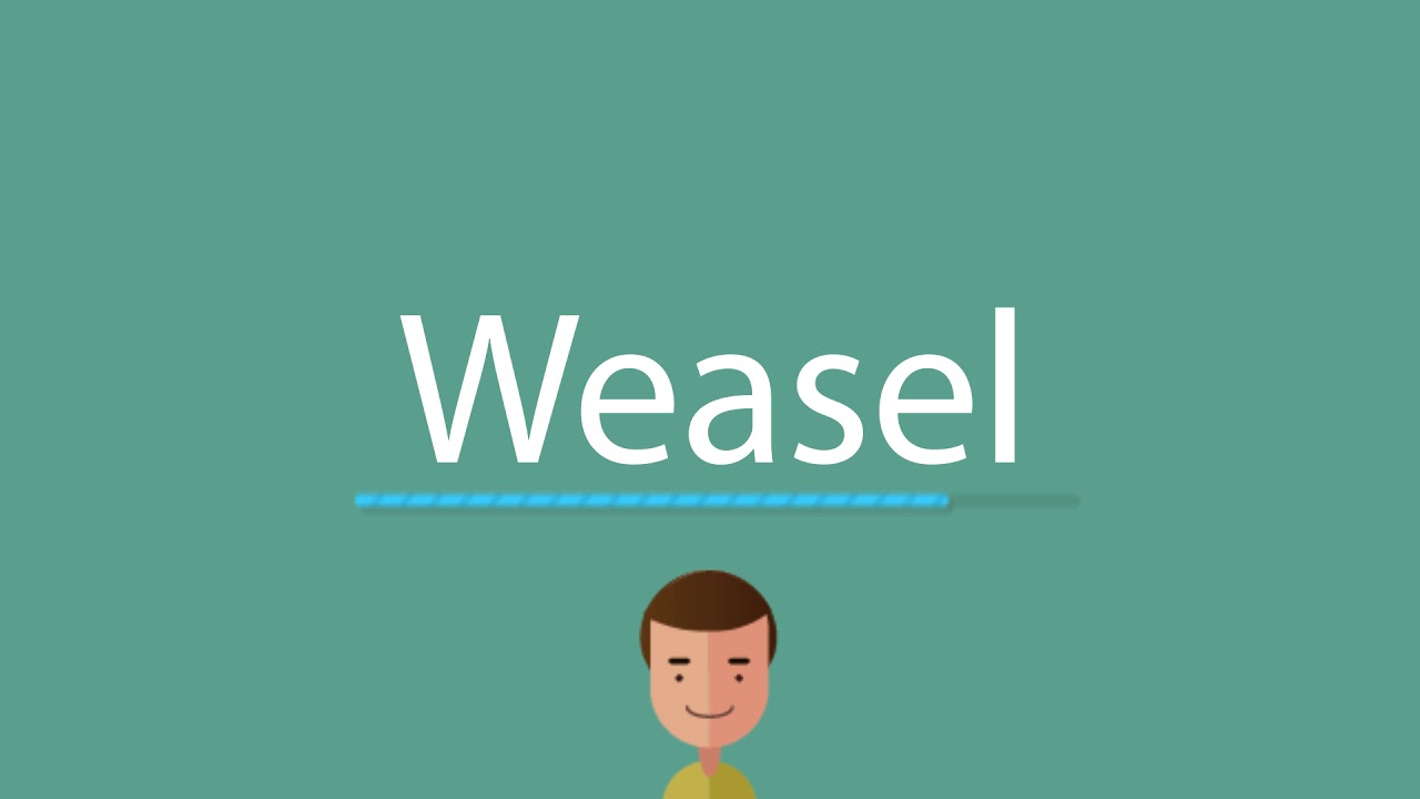 Weasel pronunciation - YouTube