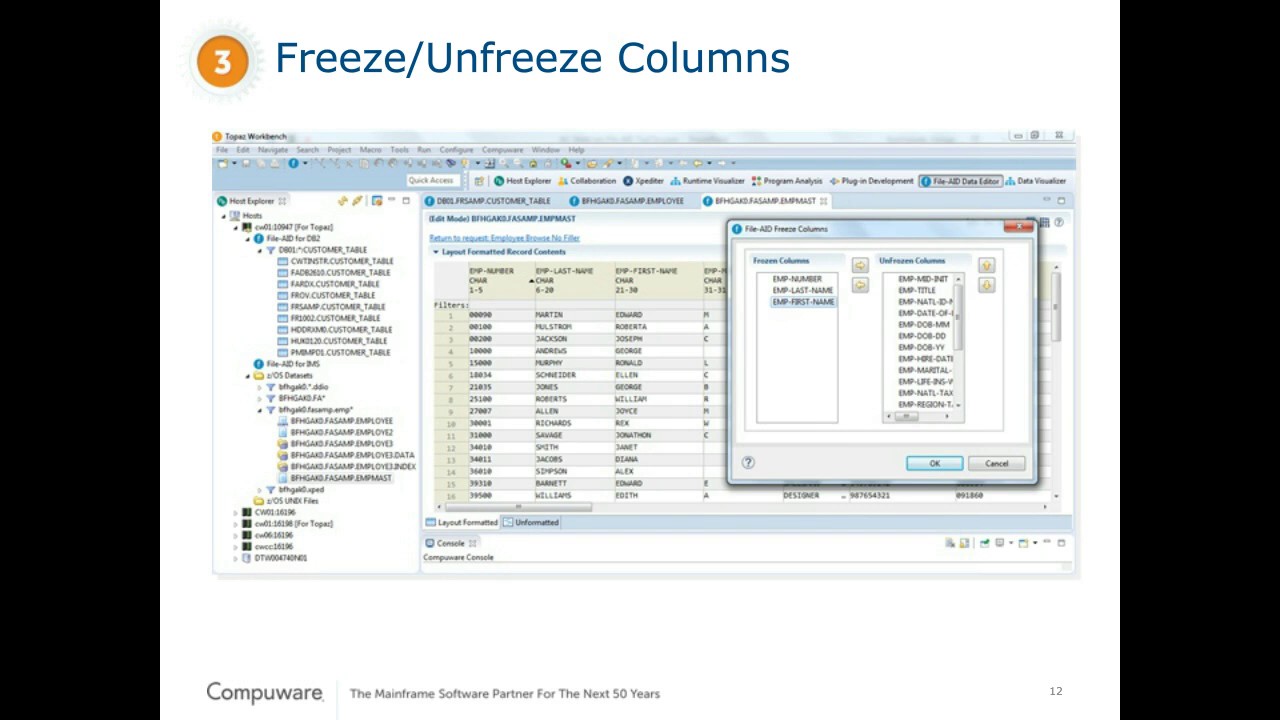 10 Cool Things About File-AID You Need to Know ("Did You Know?" Webcast ...