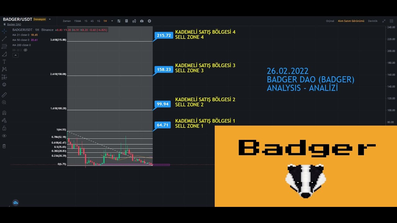 BADGER DAO (BADGER) COIN CRYPTO ANALYSIS ( BADGER DAO (BADGER) COIN ...