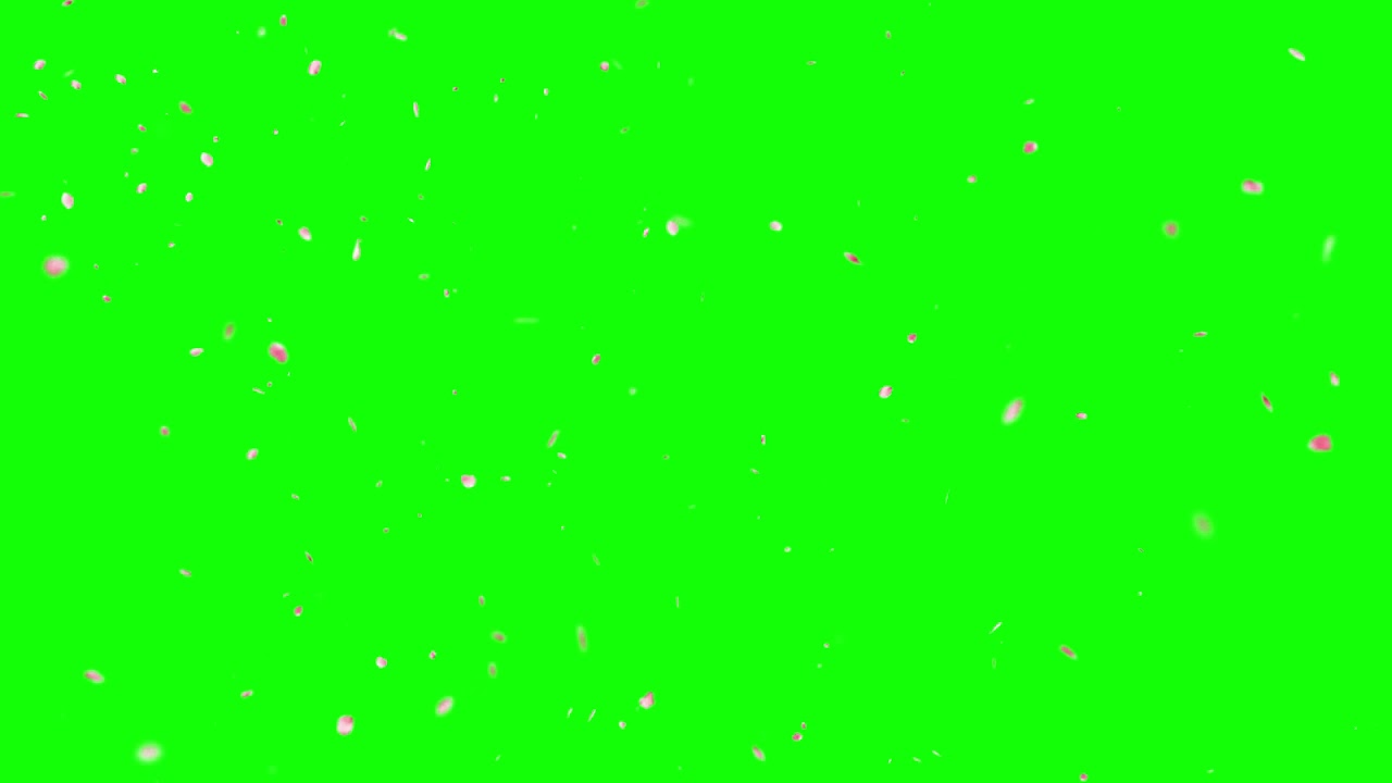 Pink petals falling green screen effect - YouTube