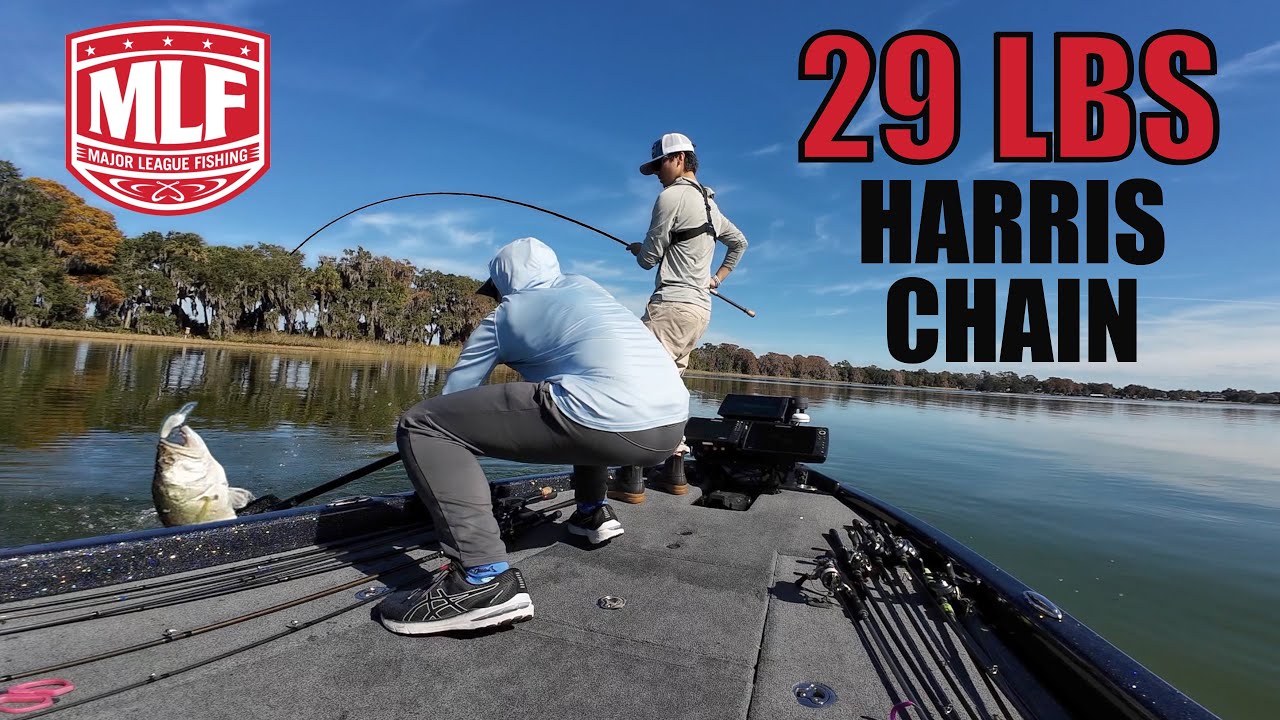29 LB BAG - Harris Chain MLF WIN! High School Bass Fishing Tournament ...