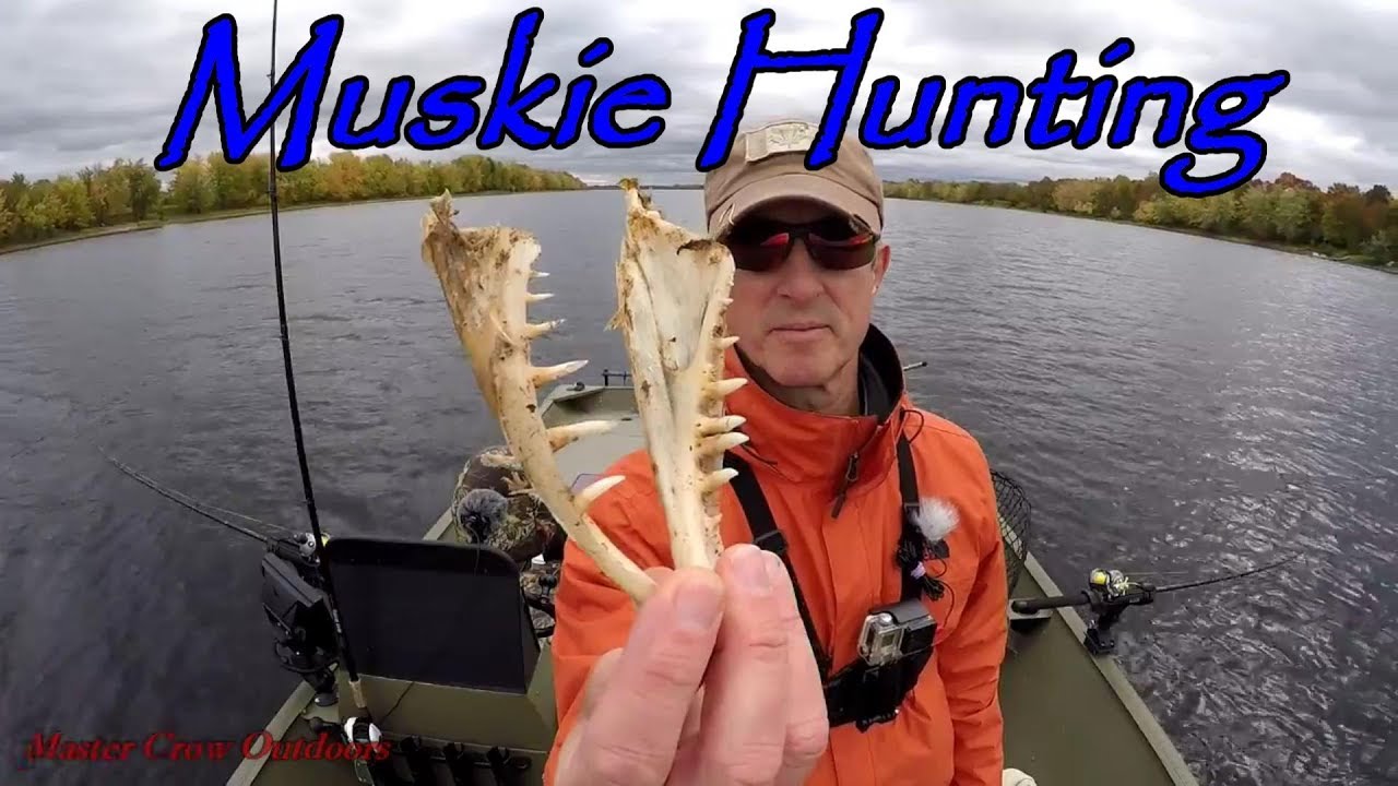 Muskie Fishing Saint John River New Brunswick Canada Sept/Oct 2018 ...