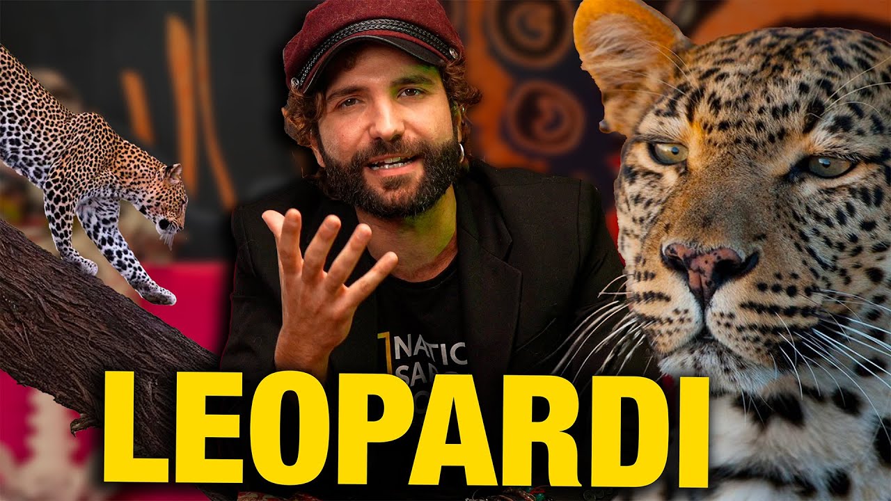 LEOPARDI E BRACCONIERI - YouTube