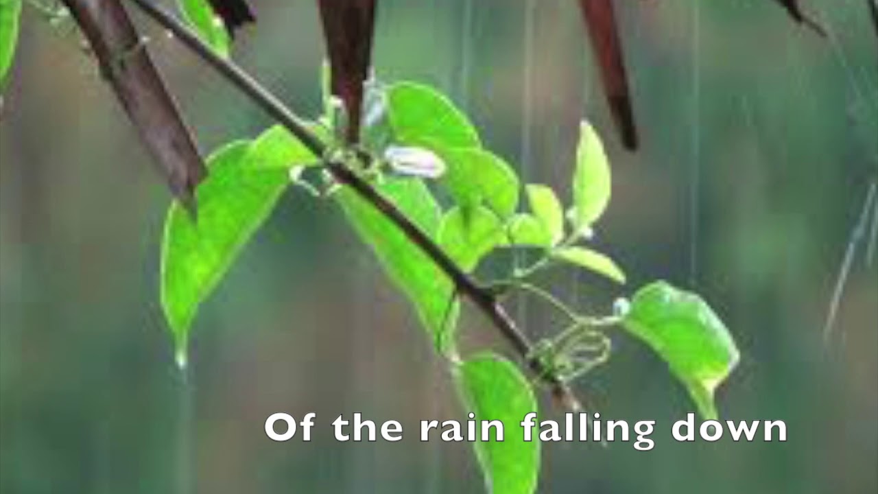 "Rain Falling Down" - YouTube