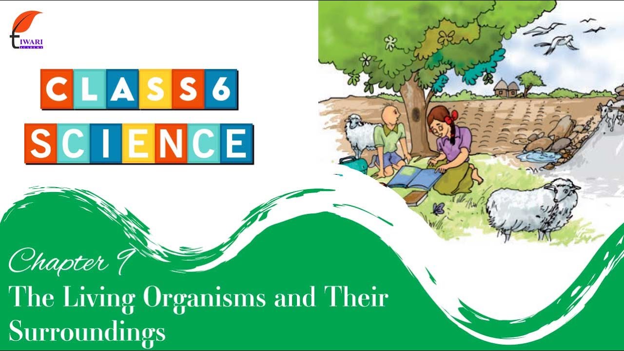Class 6 Science Chapter 9 The Living Organisms and Their Surroundings ...