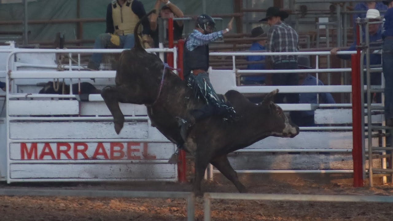 2024 Marrabel PBR Bull Ride - YouTube