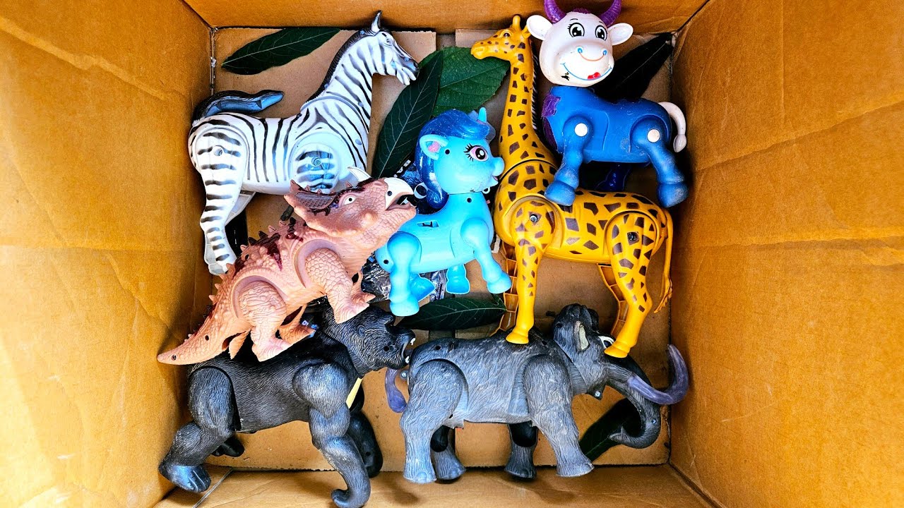 BARU!!! Mencari Kingkong Besar Hidup Gajah Zebra Sapi Jerapah ...