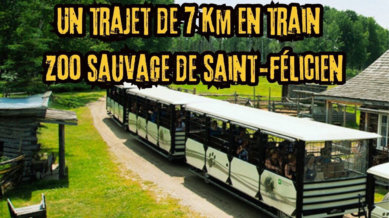 🍀Zoo sauvage de Saint-Félicien:balade en train dans le Parc des ...
