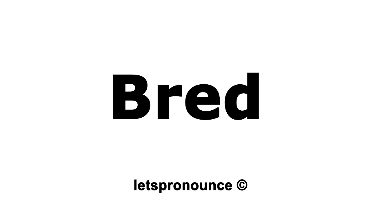How to Pronounce Bred - YouTube