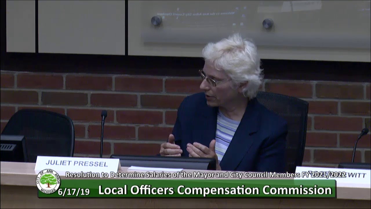 Local Officers Compensation Commission 6-17-19 - YouTube